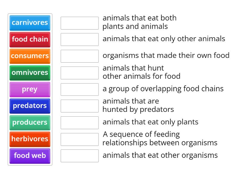 Food Chains & Food Webs Vocabulary - Match up