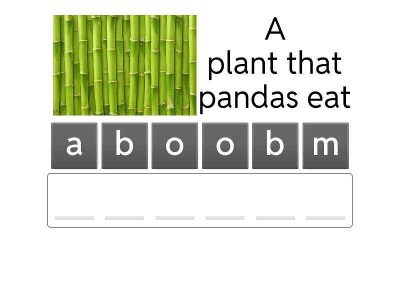 Technical Vocabulary - Giant Panda - Anagram