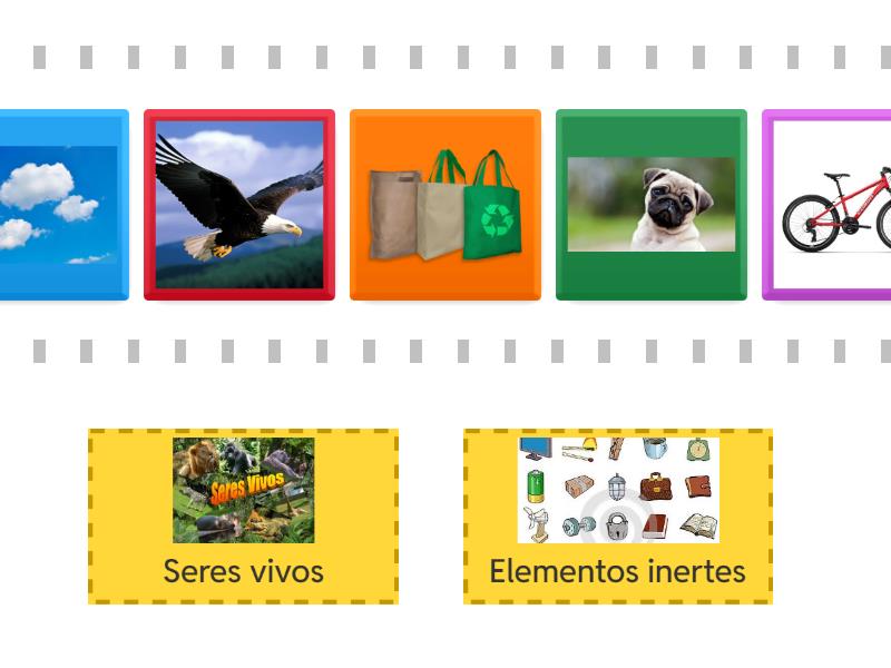Seres vivos y elementos inertes - Speed sorting