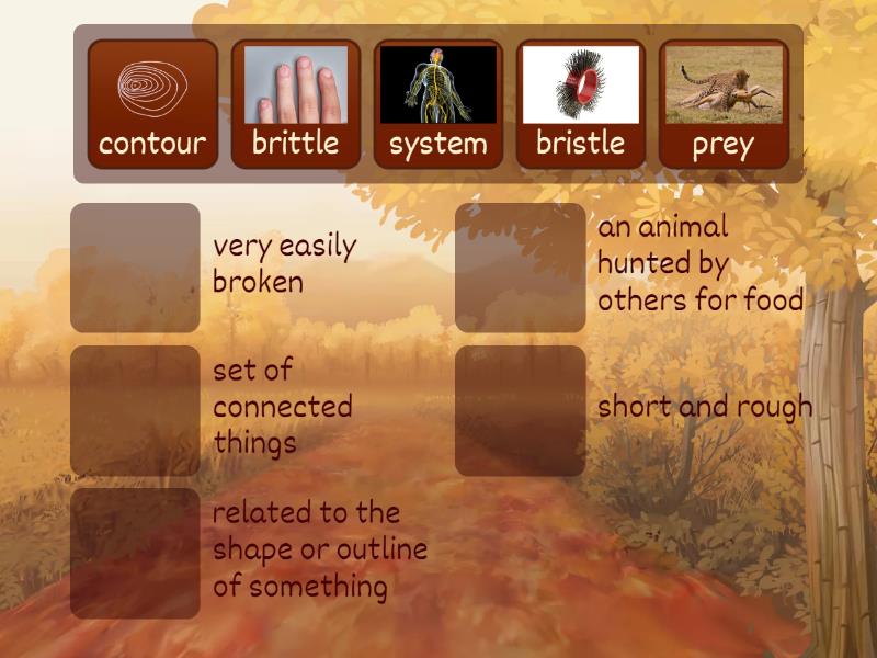 Feathers not Just for Flying (vocabulary) - Match up
