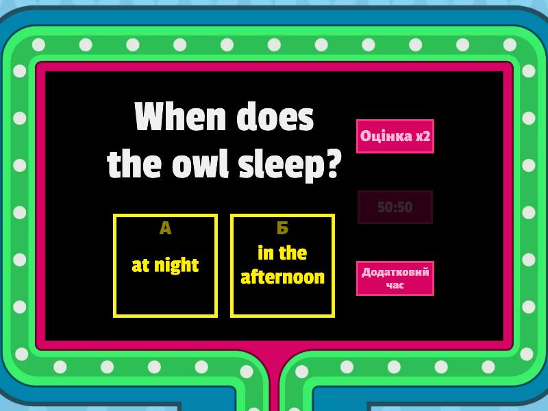 Owl - Gameshow quiz