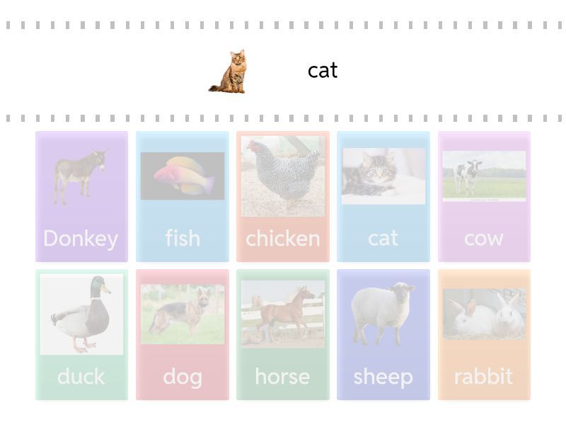 Farm animals for kids - Find the match