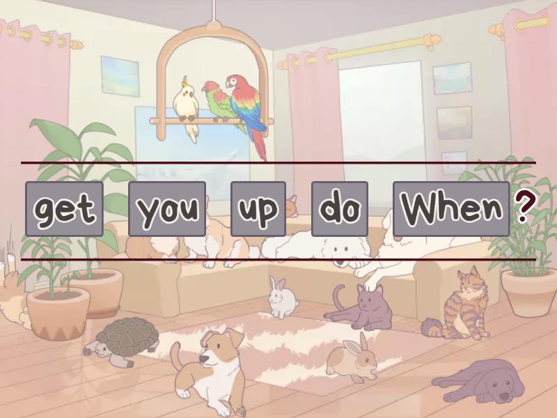 1 grade do/does questions - Unjumble