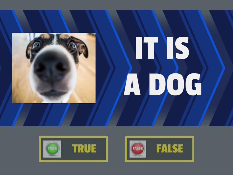 PETS - True or false