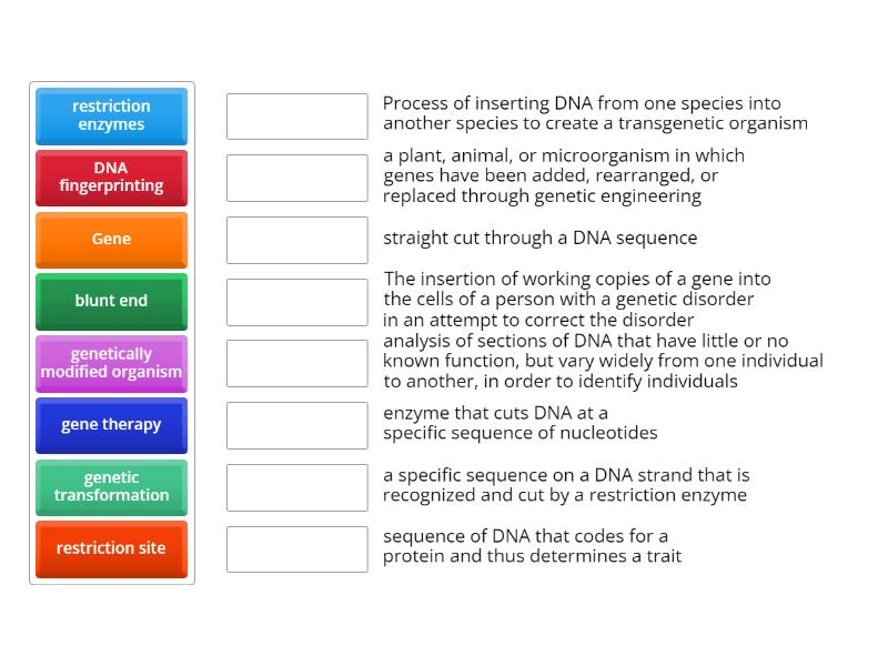artificial selection (vocabulary) - Match up