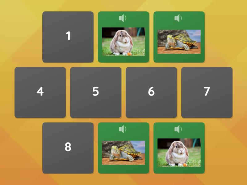 Pet Parade Match-Up - Matching pairs