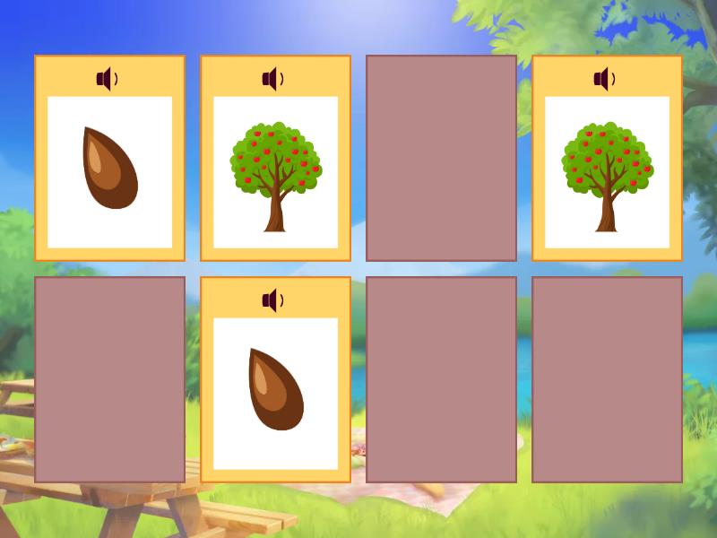 Apple tree - Matching pairs