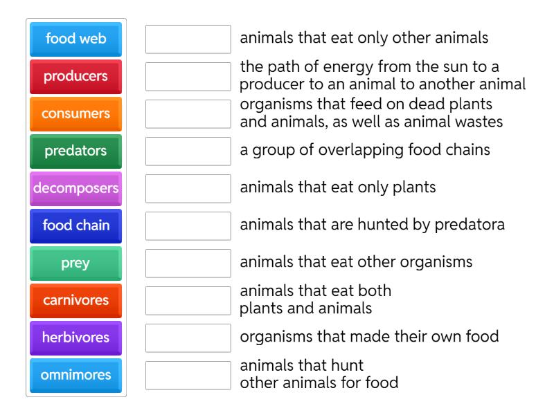 Food Chains & Food Webs Vocabulary - Match up