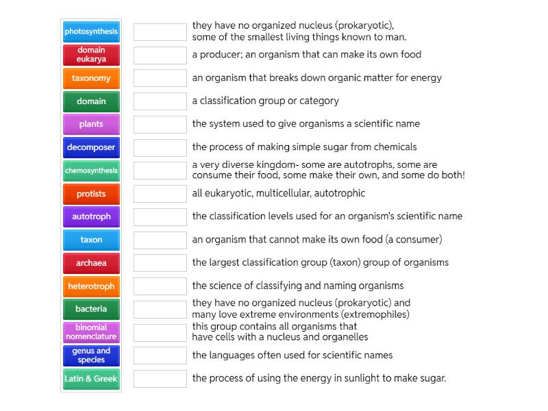 Classification, Taxonomy, Domains, & Kingdoms - Match up