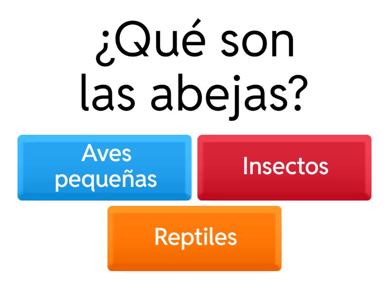 El maravilloso mundo de las abejas - Quiz