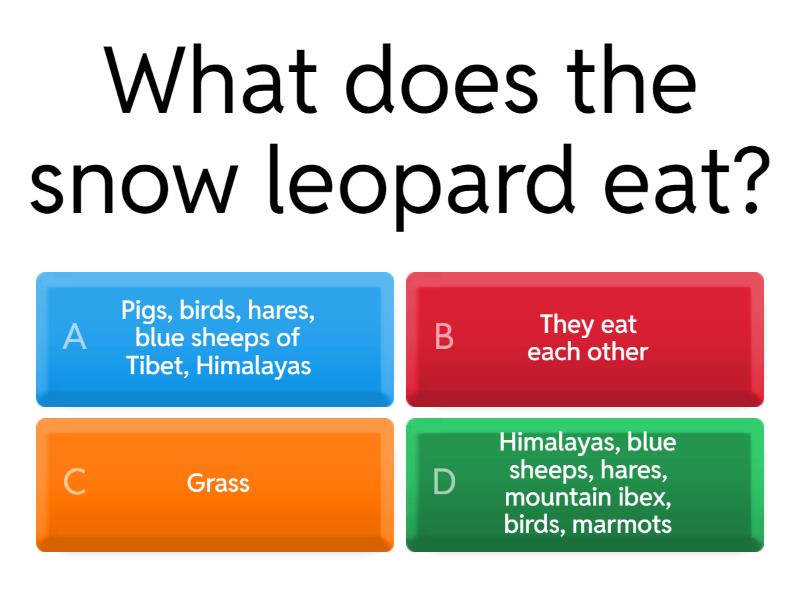 Snow leopard - Quiz
