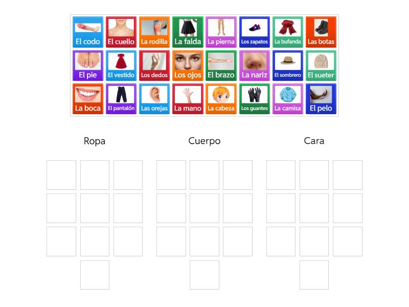 La ropa y el cuerpo - Ordenar por grupo
