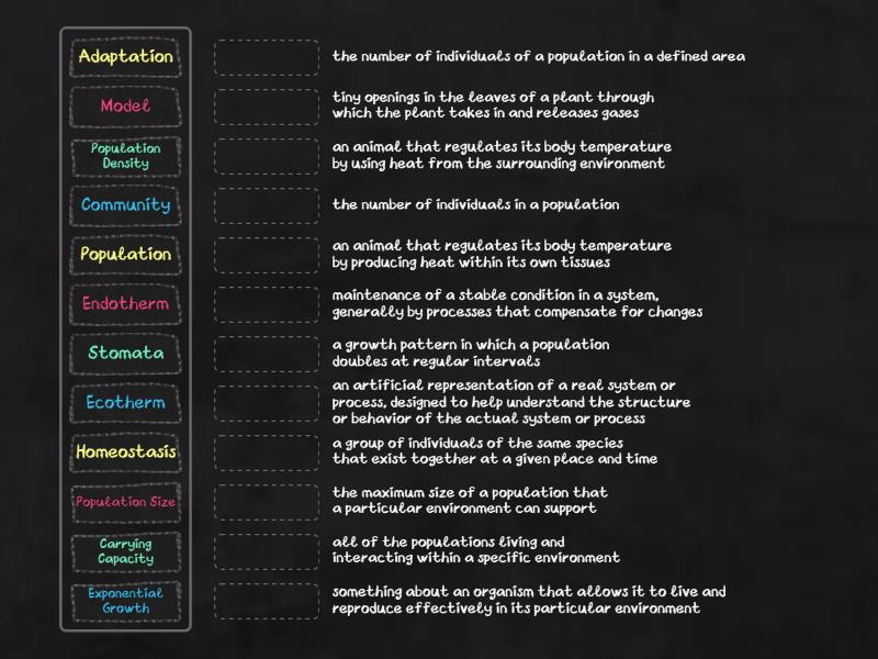 Unit 1 Vocabulary Review - Match up