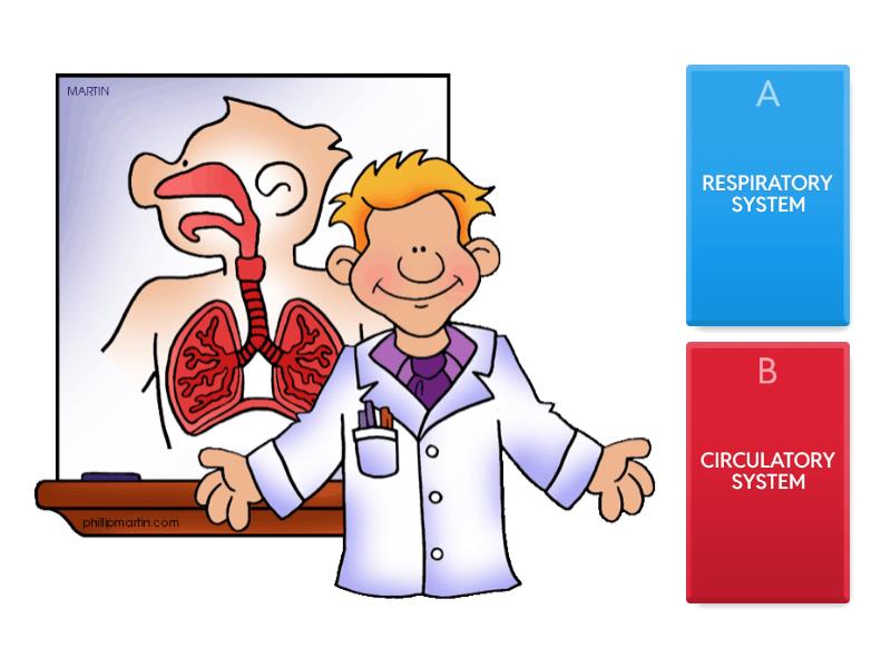 Respiratory and circulatory system - Quiz
