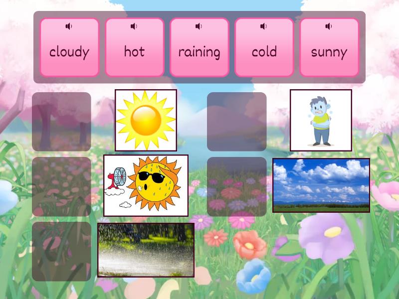 module 5 weather - Match up