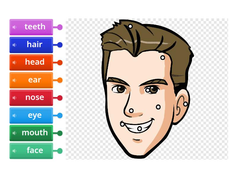 KB 1 Unit 6 body parts - Diagrama con etiquetas