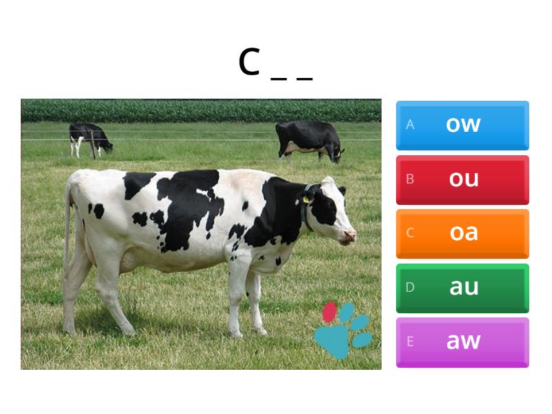 ow ou oa au aw - Quiz