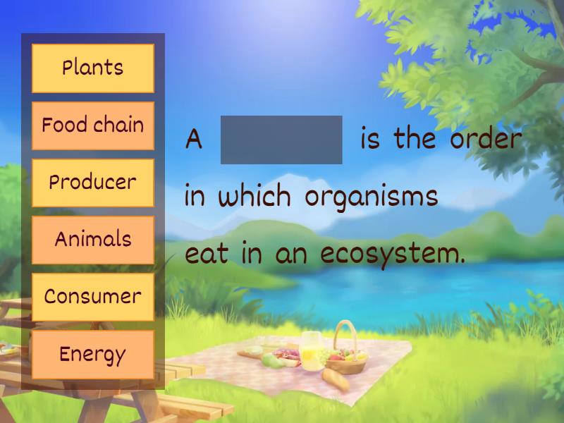 Food Chain Vocabulary - Complete the sentence