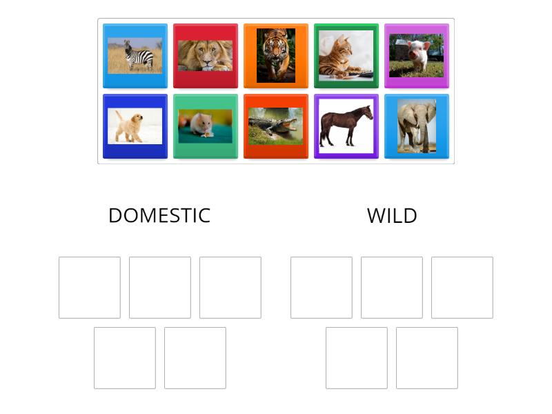 wild and domestic - Group sort