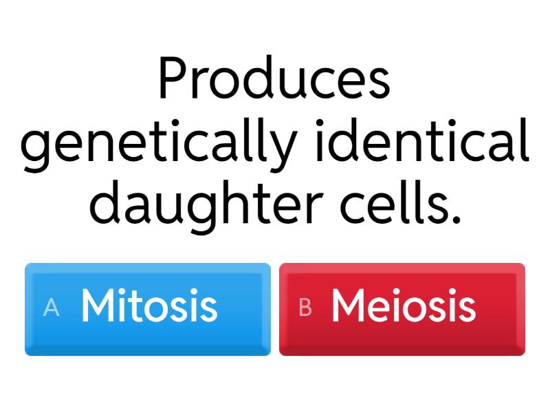 Mitosis vs. Meiosis - Quiz