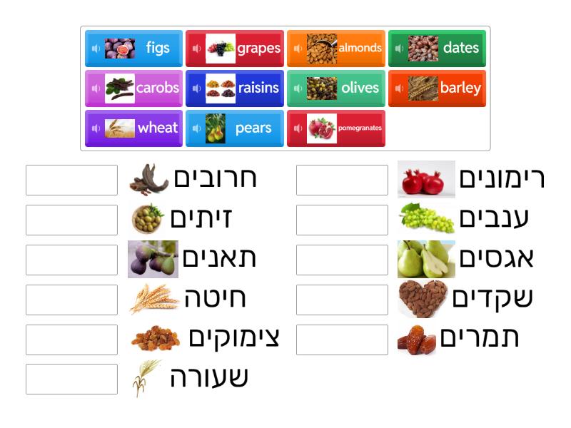 Fruit with Hebrew and Pictures - easy + audio - Match up