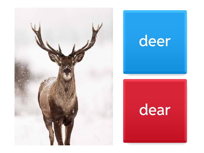 Long e Homophones - Quiz