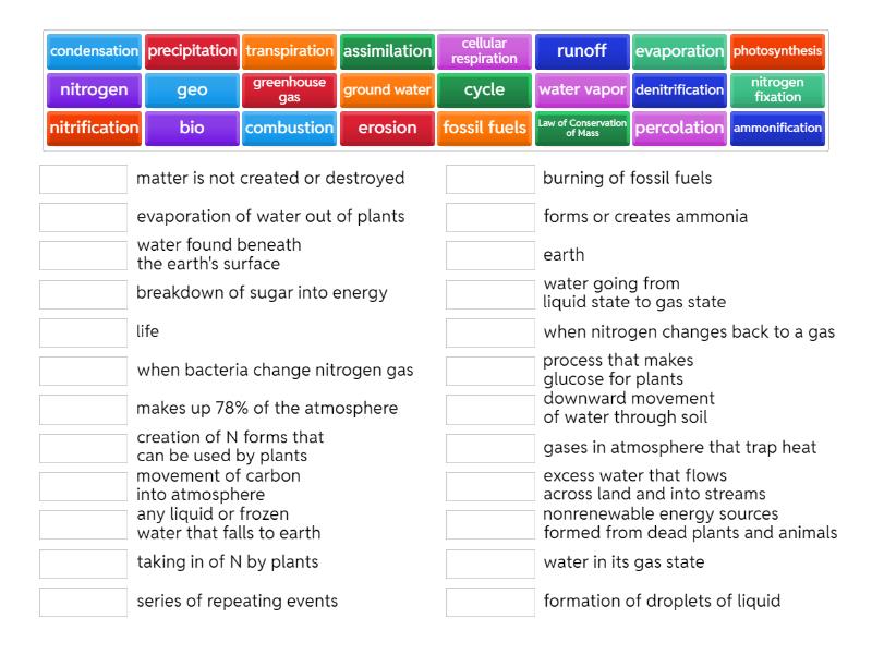 Biogeochemical Cycles Vocabulary - Match up