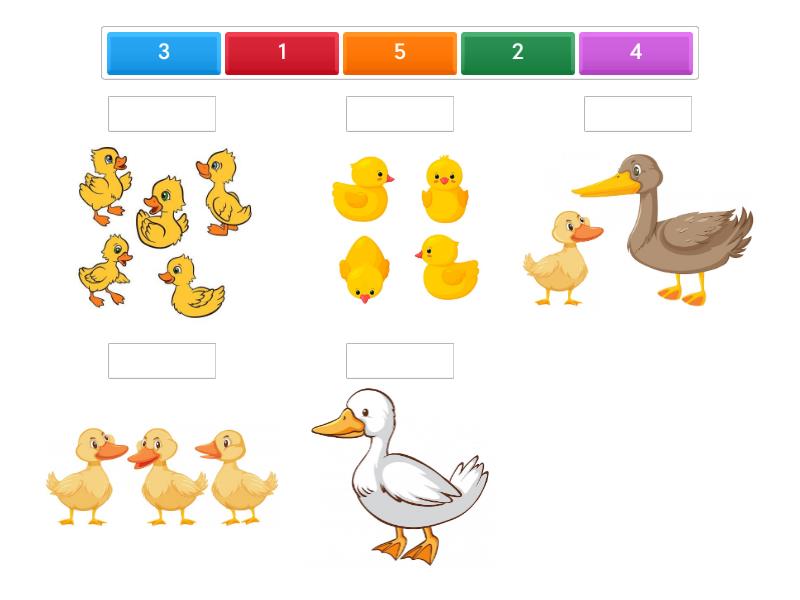 Los números - Match up