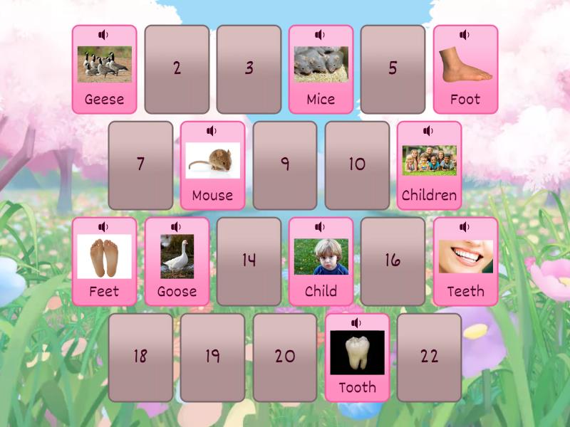 Irregular Plural Nouns Concentration Memory Game - Matching pairs