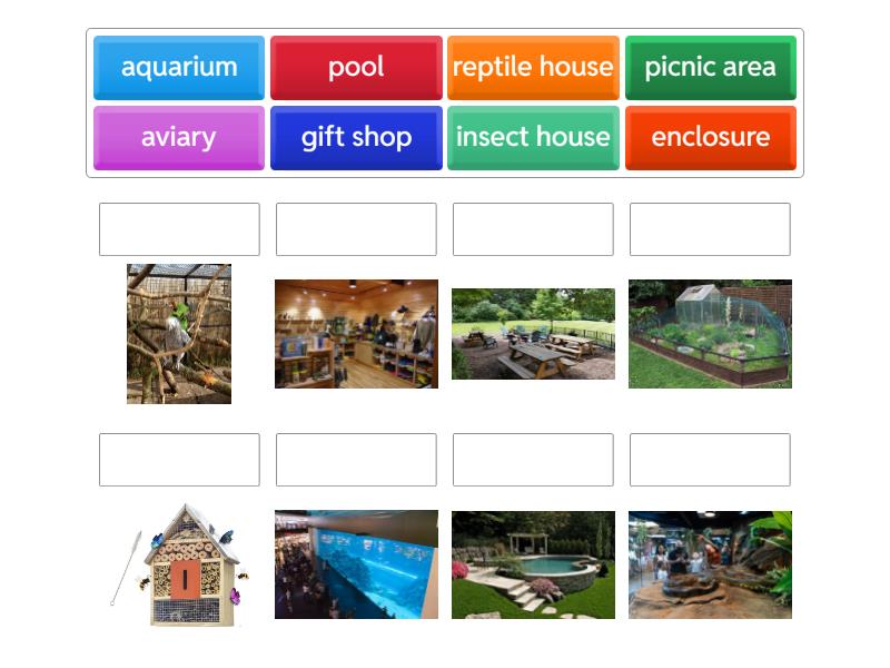 FF5 U6 Words - Match up