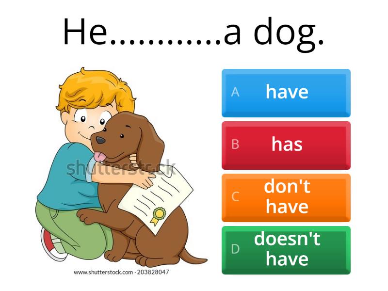 EU 2 Unit 3 Lesson 2: Grammar Have/don't have/has/doesn't have - Quiz