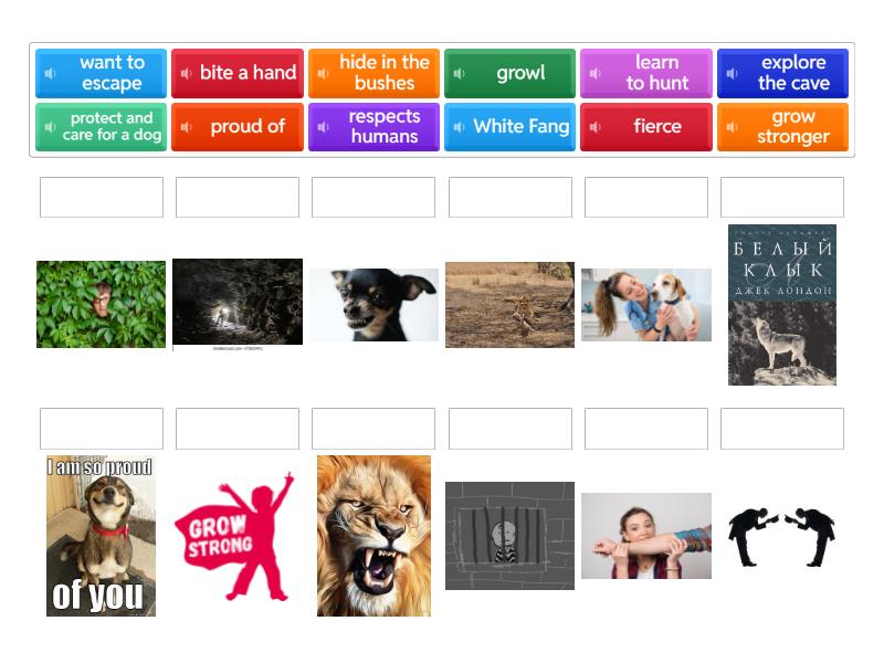 White Fang vocabulary match - Une las parejas