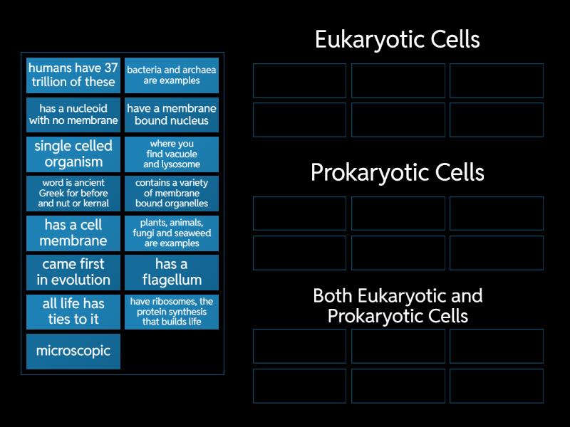 Prokaryotic and Eukaryotic Cells - Group sort