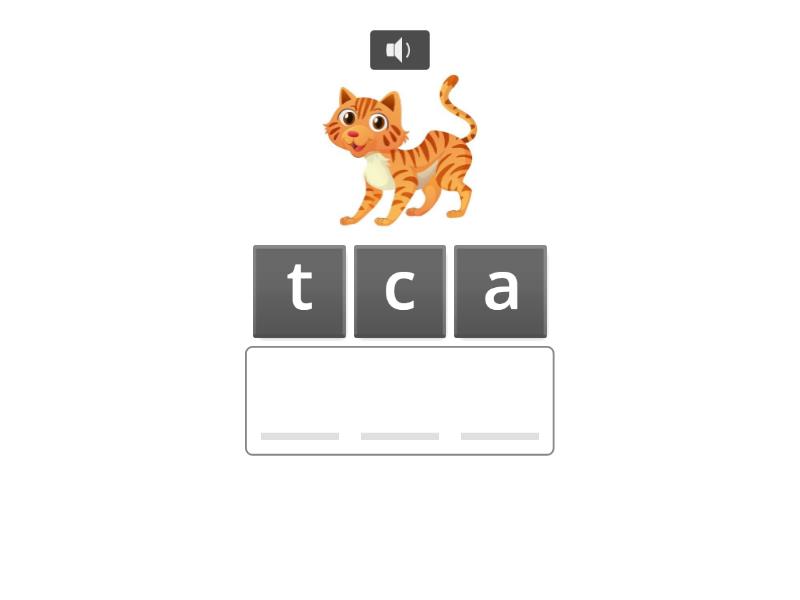 Fat Cat CVC Phonics - Anagram