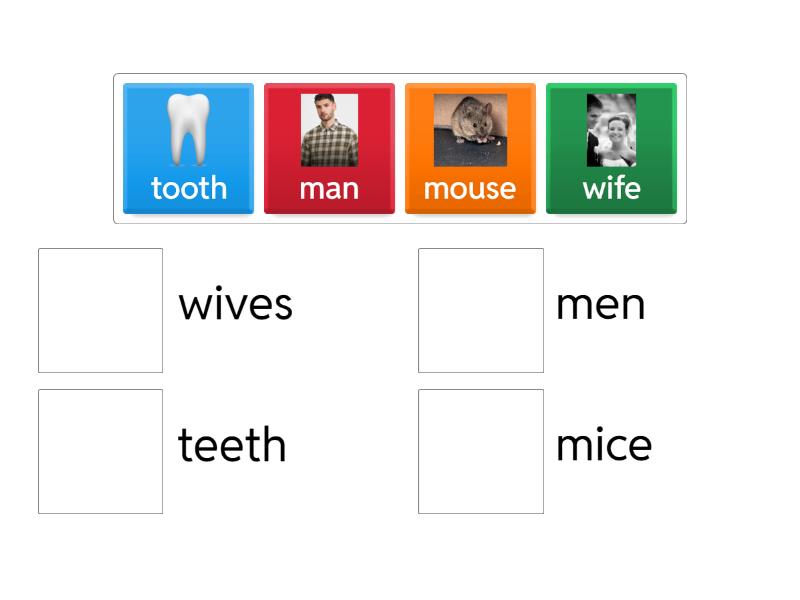 Irregular plural nouns - Match up