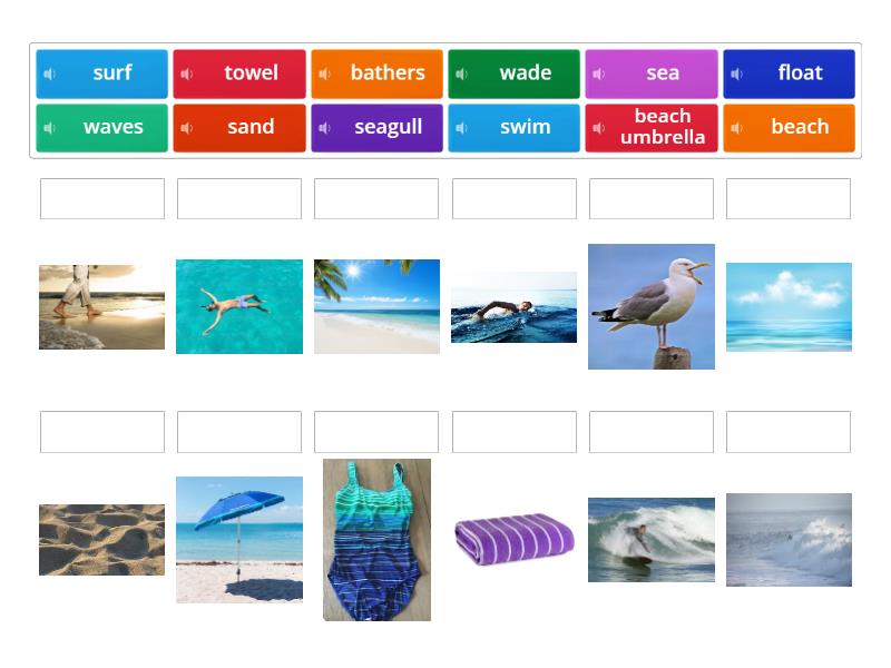 Beach vocabulary - - Match up