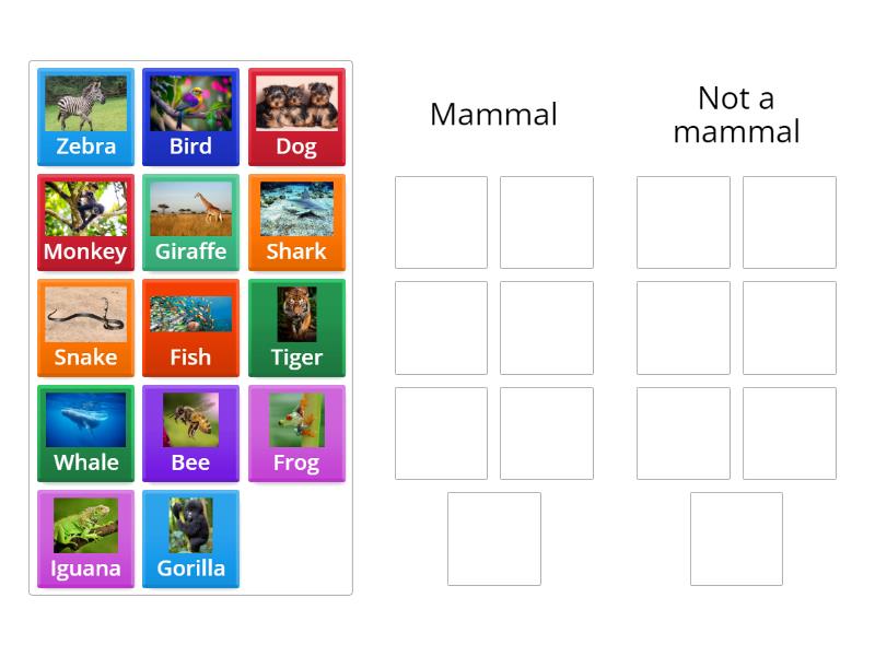 Mammal or Not a Mammal? - Group sort