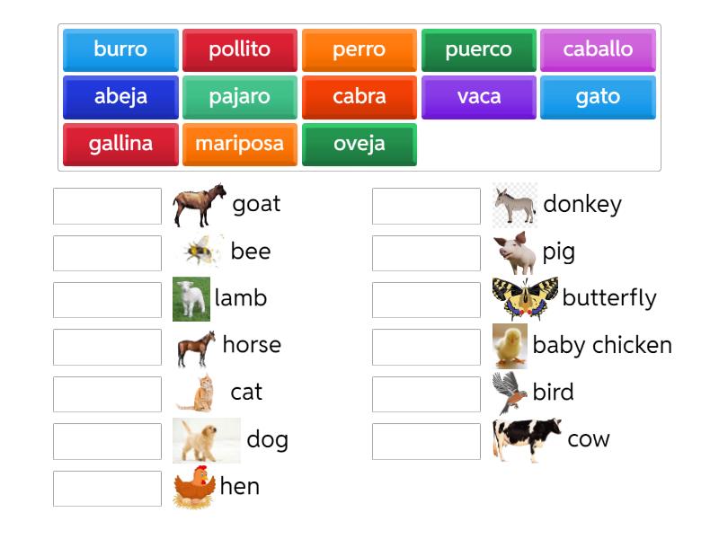 AS-Farm animals Spanish - Match up