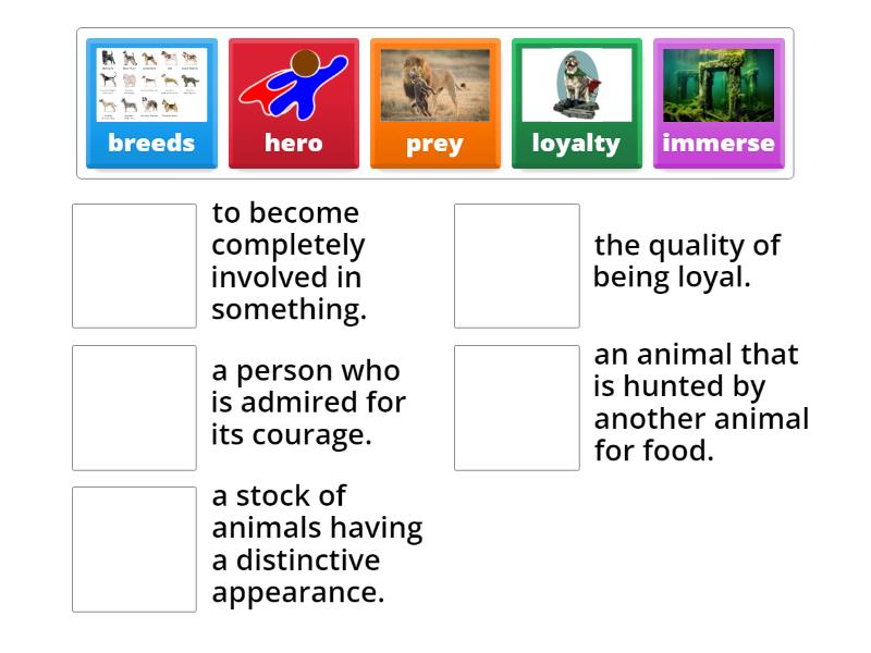 Vocabulary 2c part 1 - Match up
