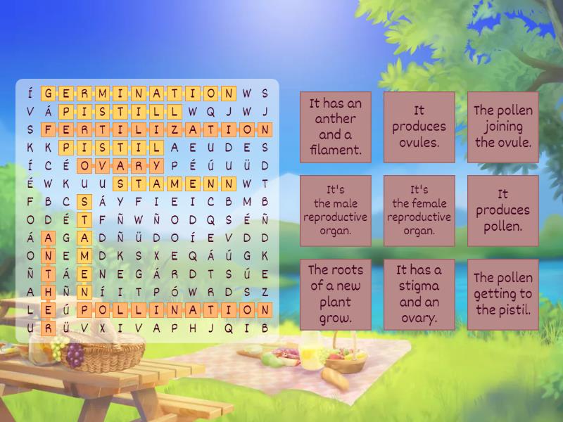 The plant reproduction: pollination - Wordsearch