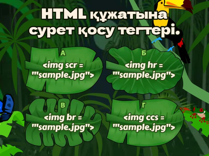 10 сынып HTML тілінде тест сұрақтары - Quiz
