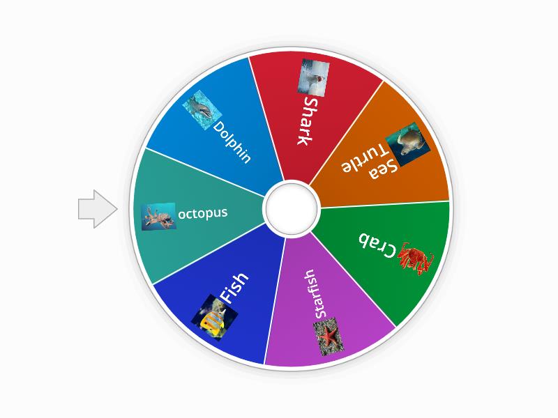 spelling sea animals - Spin the wheel