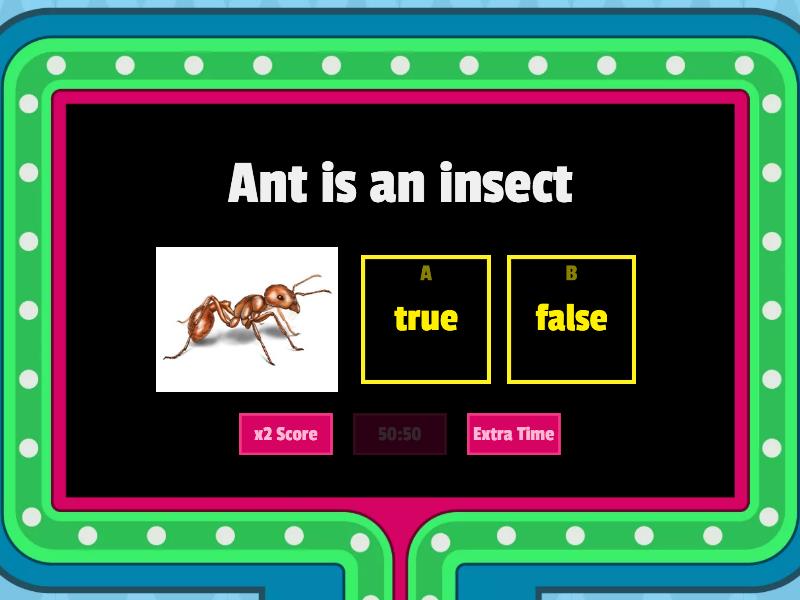 Ant Quiz - Concurso de preguntas