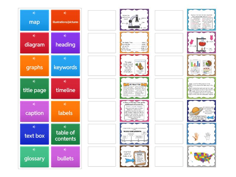 Text Features Quiz - Match up
