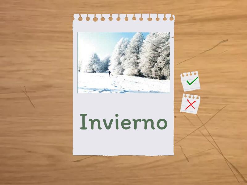Seasons of the year / Las estaciones del año - Flash cards