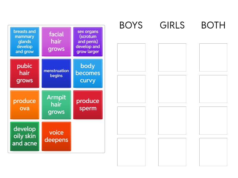 PUBERTY CHANGES - Group sort