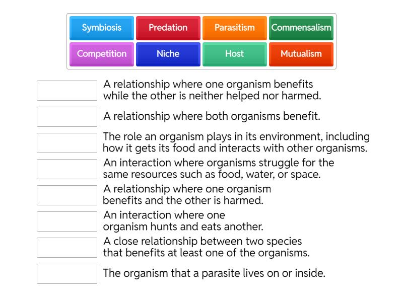 Ecosystem Vocab - Match up