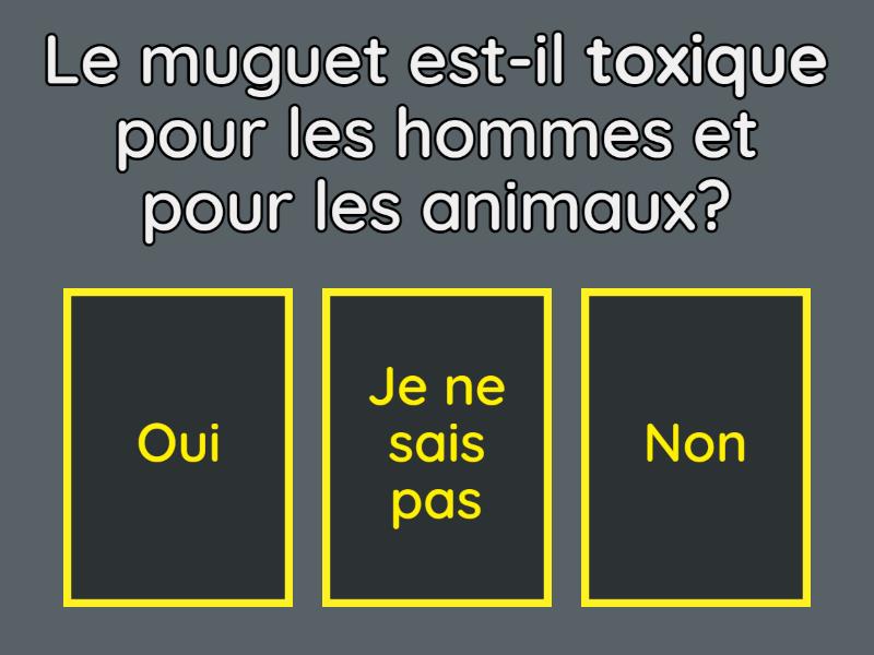 Le 1er mai / May Day in France - Quiz