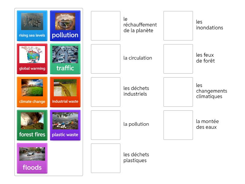 French-English Environmental Vocabulary - Match up