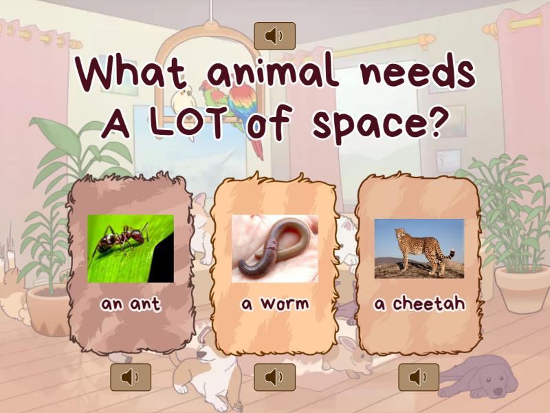 Science: Animal Needs - Quiz